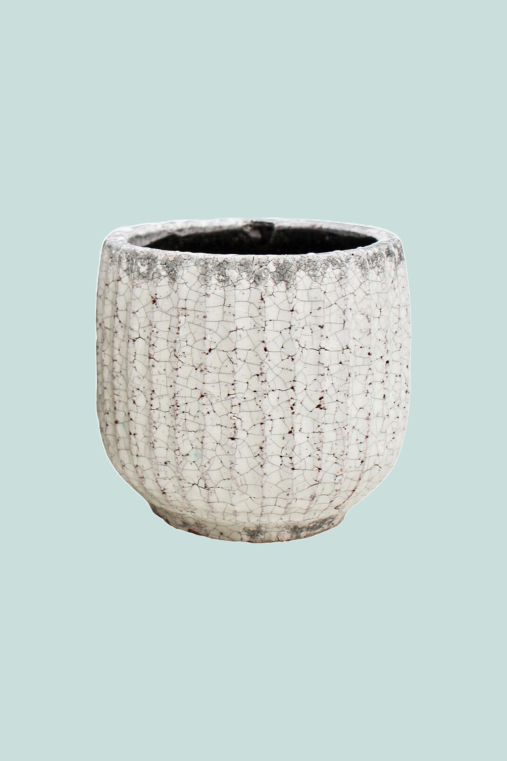 Odyssey Crackle Glaze Pot Range - 2 Sizes – PlantHouse