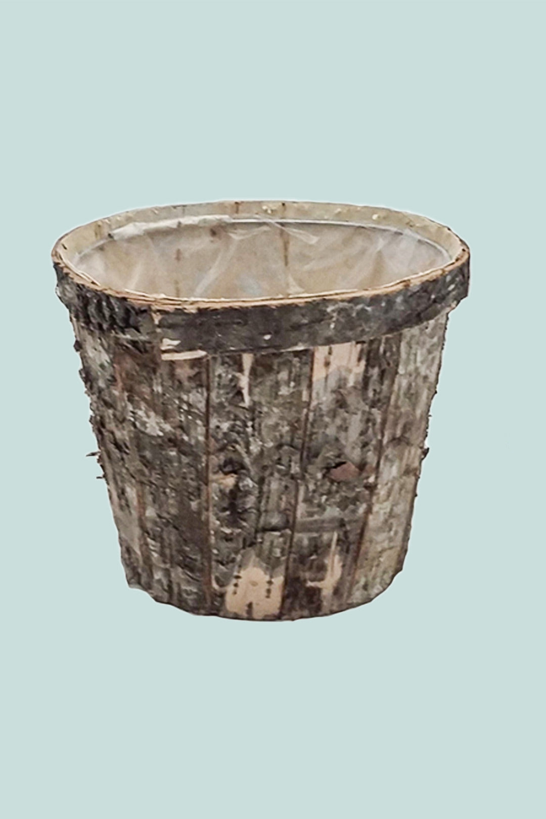 Birch Bark 20cm Planter - Fits Medium Plants – PlantHouse