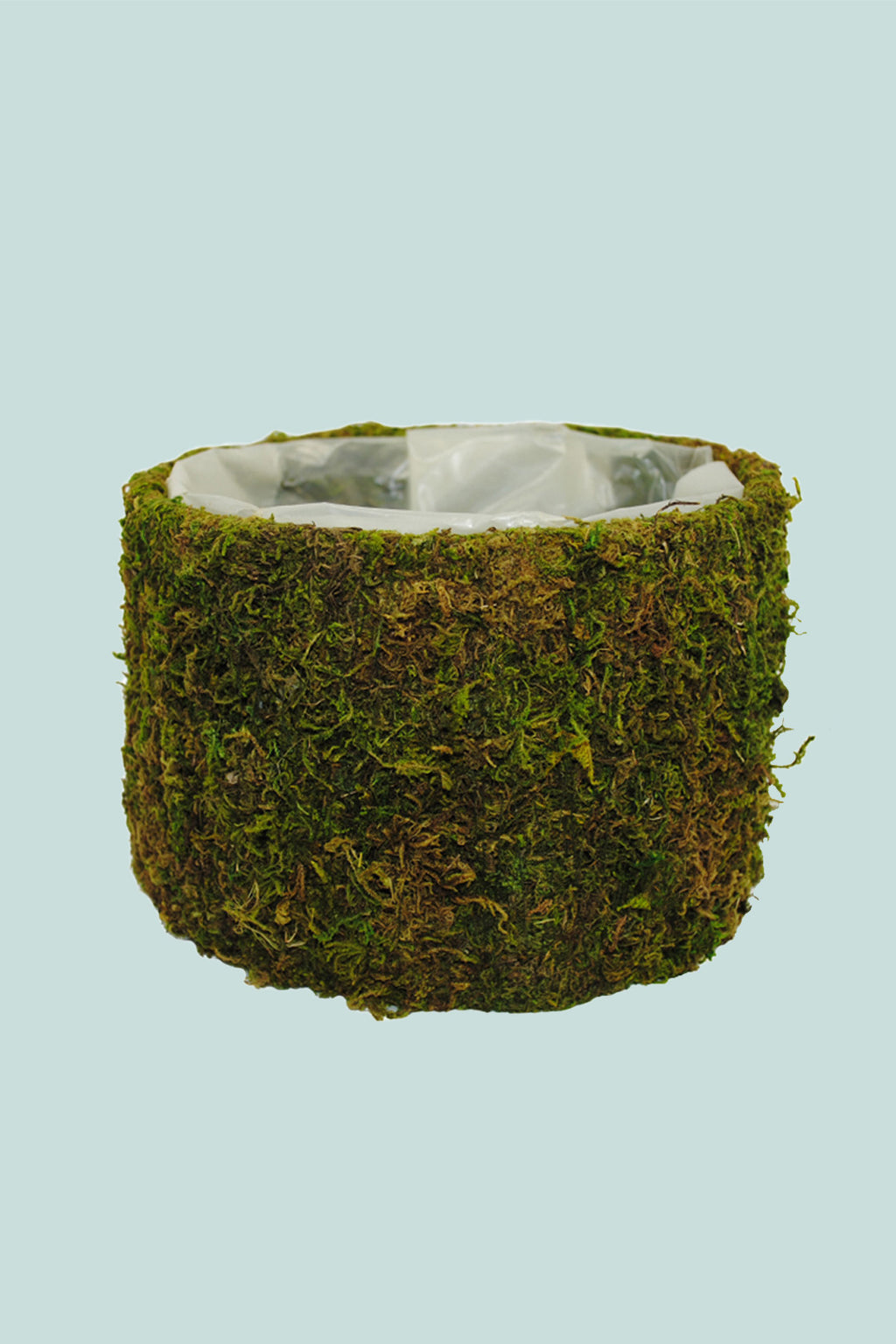 Moss Bowl Planter - Fits Small Plants – PlantHouse