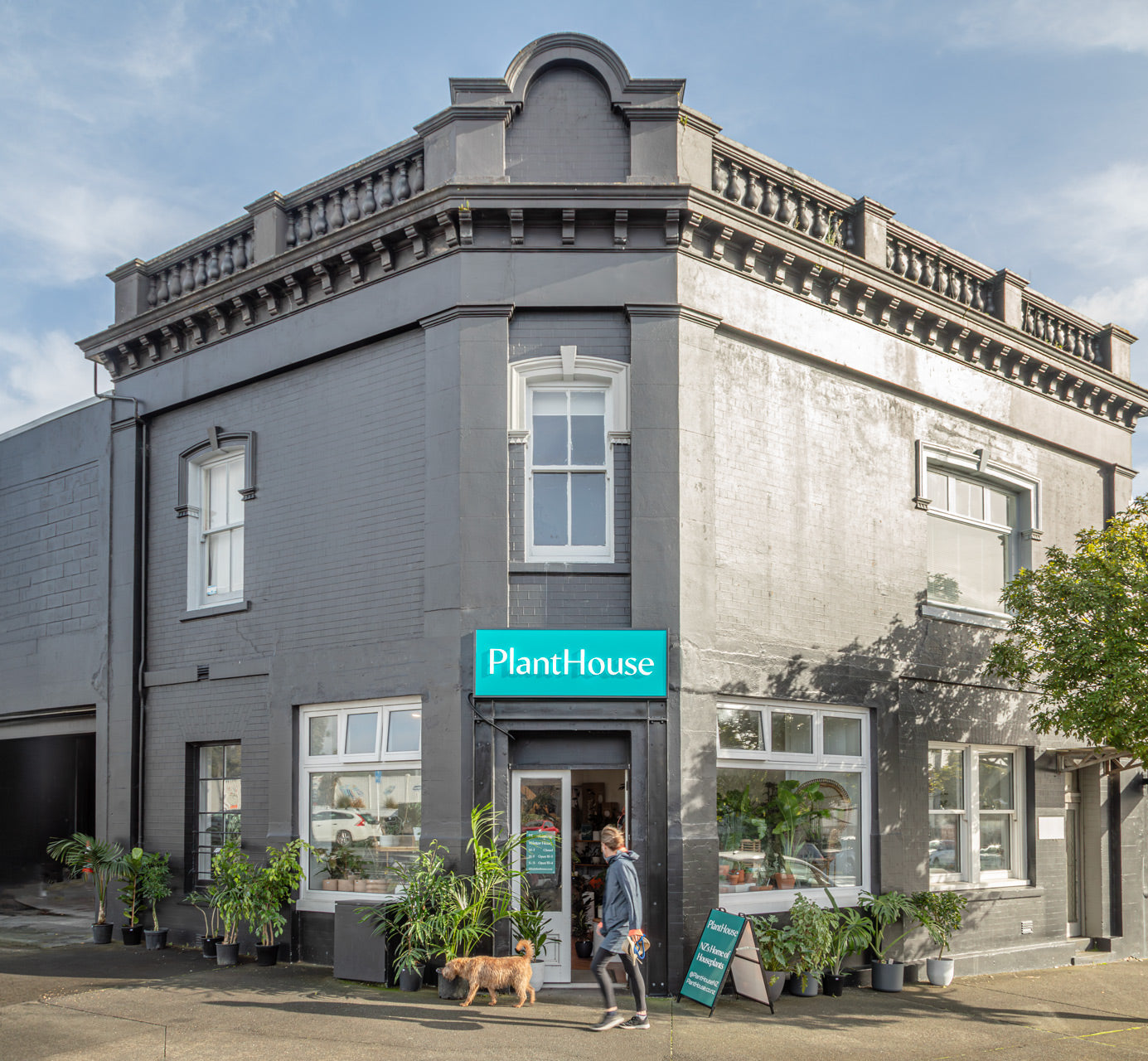 PlantHouse | Nursery-Direct Indoor Houseplants Sent NZ-wide